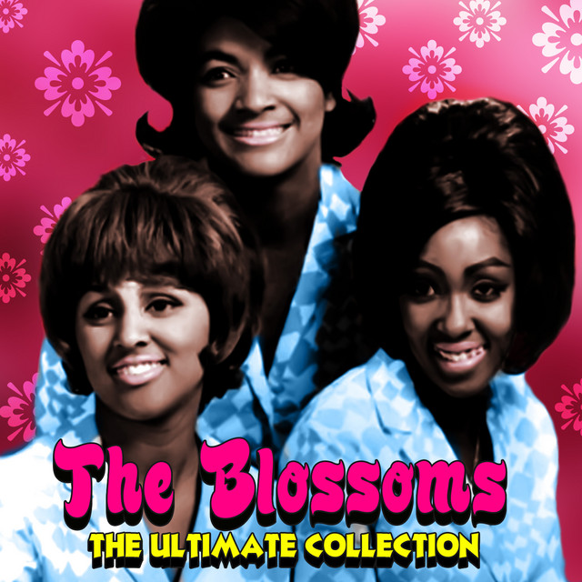 The Blossoms Albums: songs, discography, biography, and listening guide ...