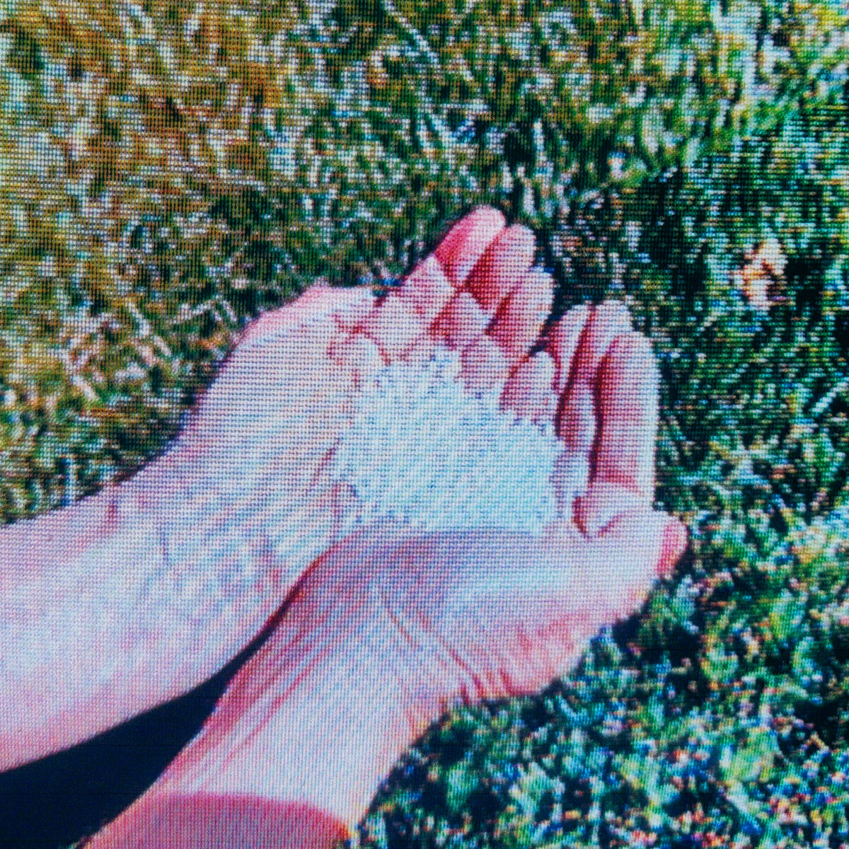 Rice by Kenneth Takanami (Single): Reviews, Ratings, Credits, Song list ...