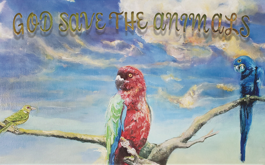 God Save the Animals by Alex G (Album; Domino; WIGMC507): Reviews ...