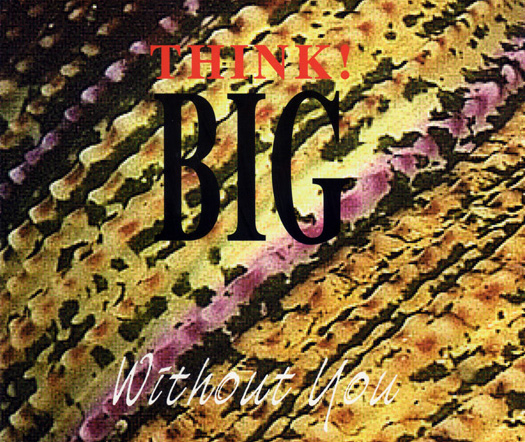 Think! Big Albums: songs, discography, biography, and listening guide ...