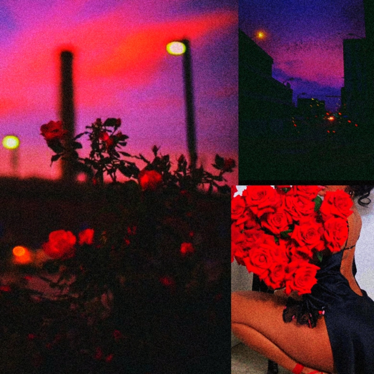 Red Rose Therapy by Screw Mane Flame (Single): Reviews, Ratings ...