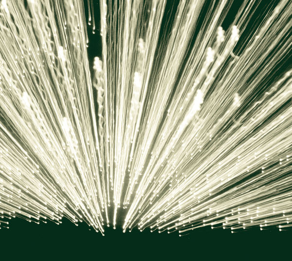 Faunts Albums: songs, discography, biography, and listening guide ...