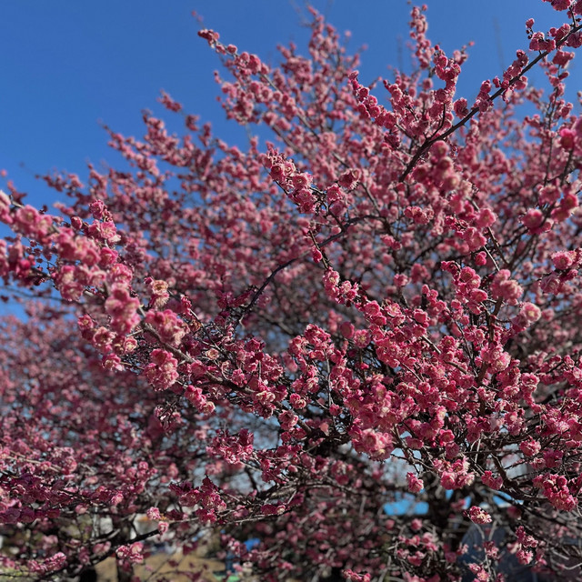 Best Serialism EPs of 2025 - Rate Your Music