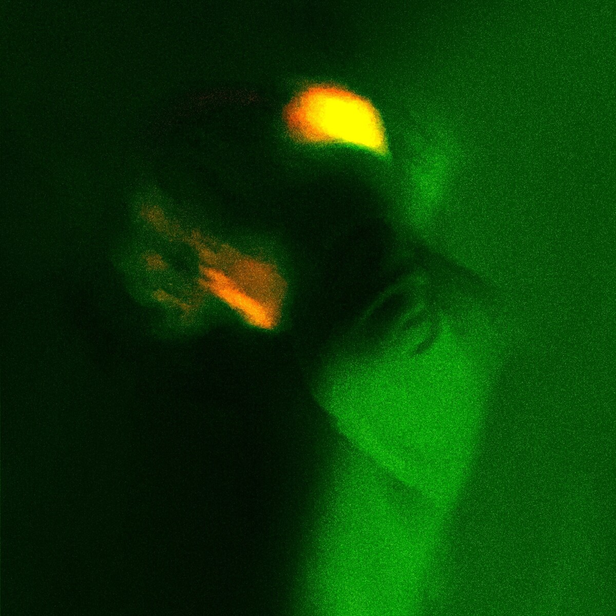 Passerby by Neddie (Album, Electronic Dance Music): Reviews, Ratings ...