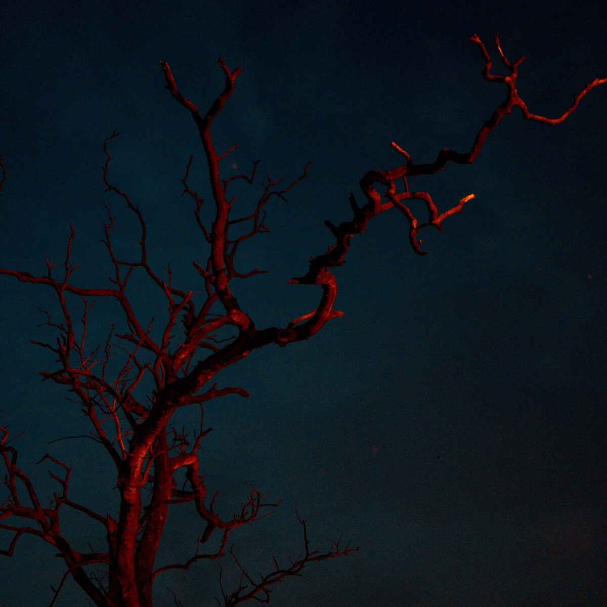 Best Gothic Rock DJ mixes of the 2020s - Rate Your Music