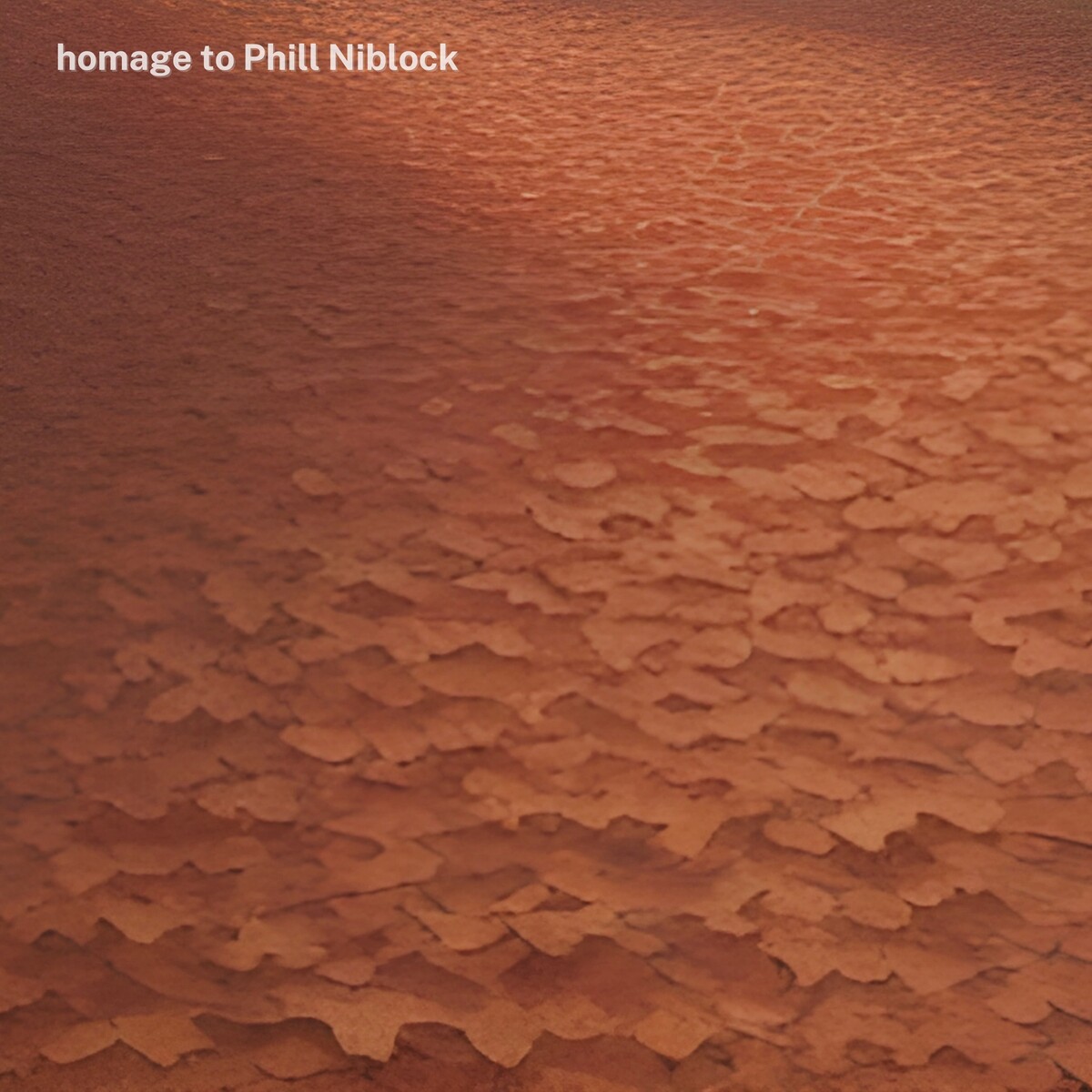 Homage to Phill Niblock by Default Standard (Album): Reviews, Ratings ...