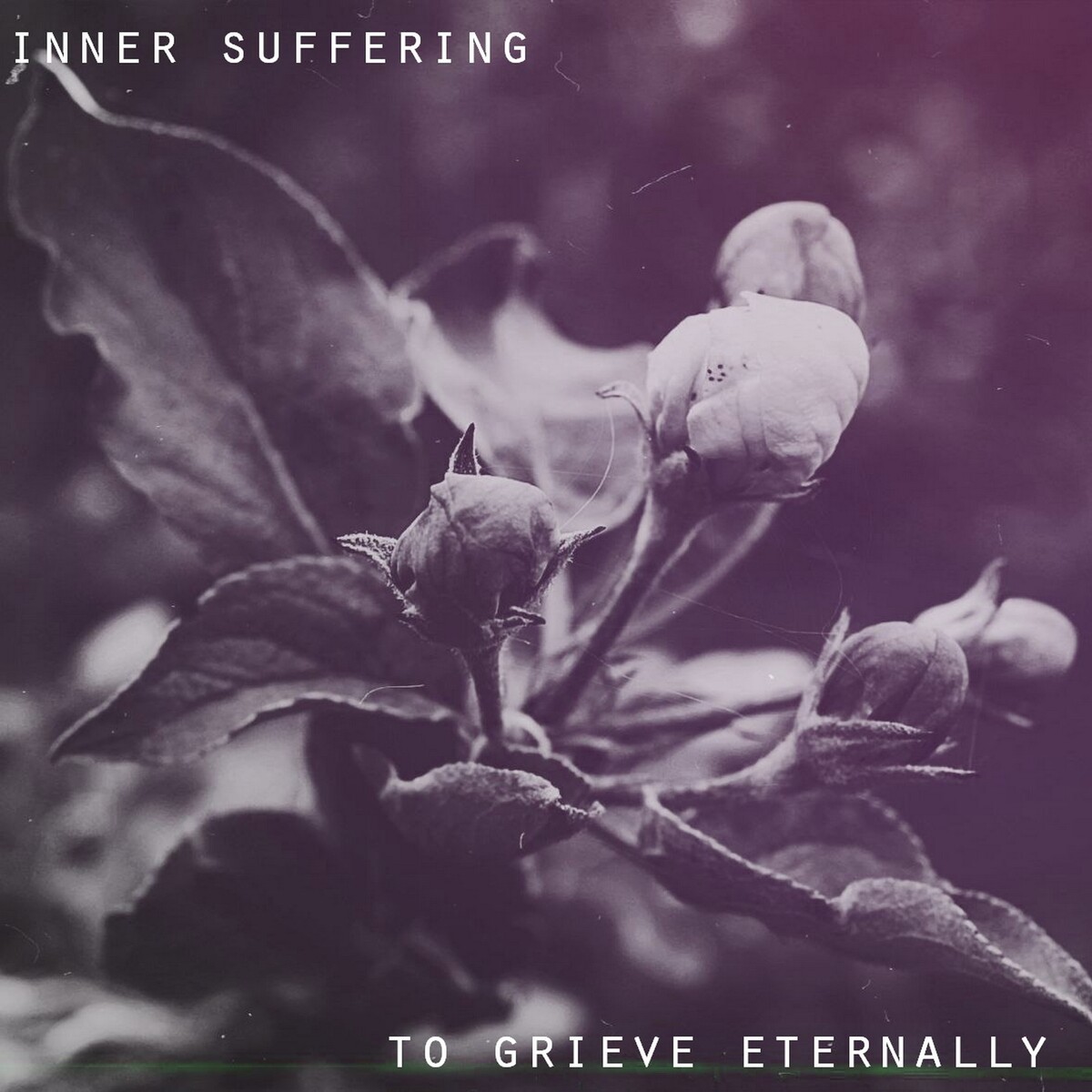 To Grieve Eternally by Inner Suffering (Album, Black Metal): Reviews ...