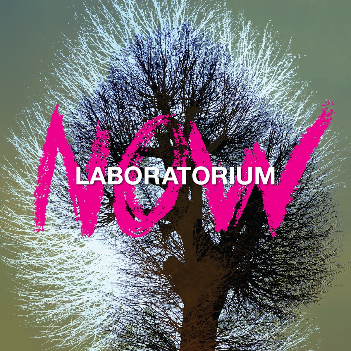 Now by Laboratorium (Album; Universal Polska): Reviews, Ratings ...