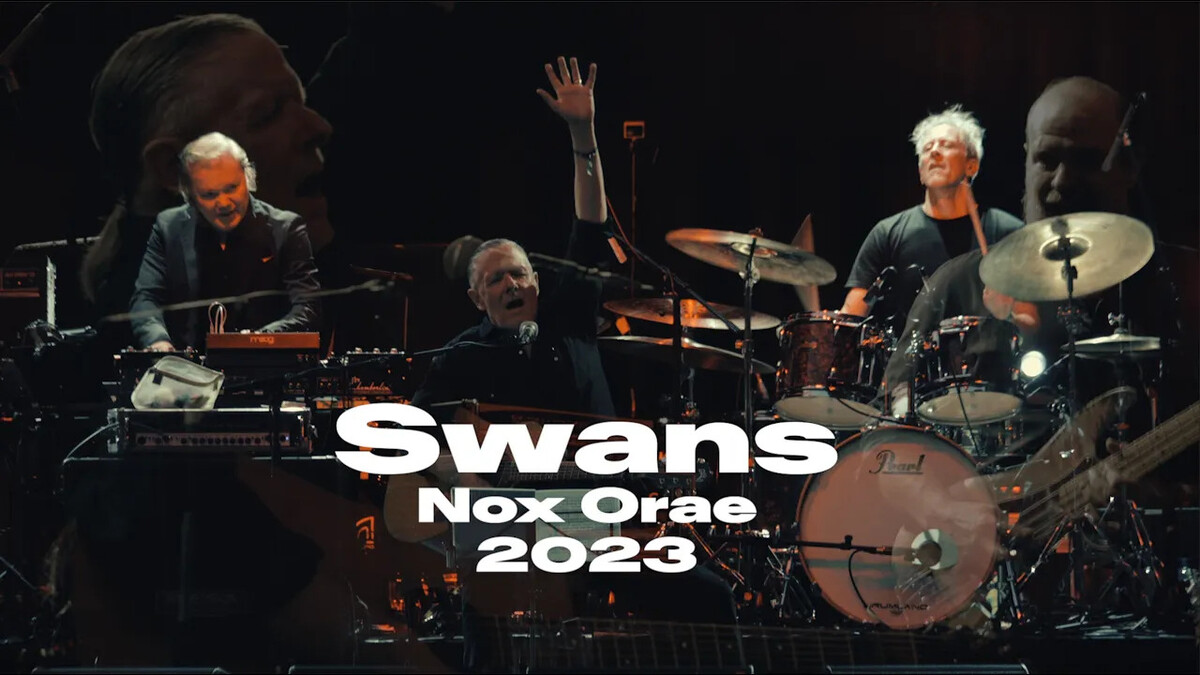 Swans Albums: songs, discography, biography, and listening guide - Rate ...