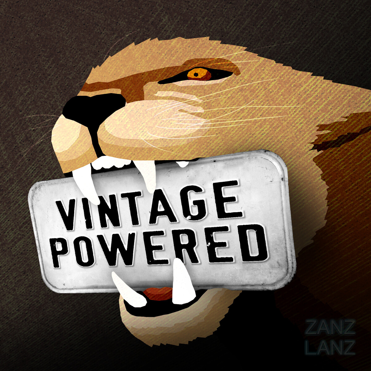 Vintage Powered by Zanzlanz (Album): Reviews, Ratings, Credits, Song ...