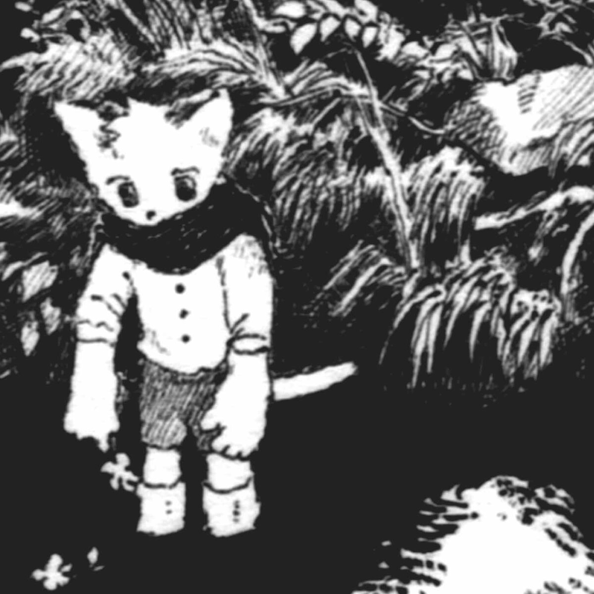 anteater Albums: songs, discography, biography, and listening guide ...