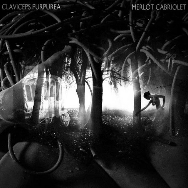 Merlot cabriolet by Claviceps Purpurea (Album): Reviews, Ratings, Credits, Song list - Rate Your ...