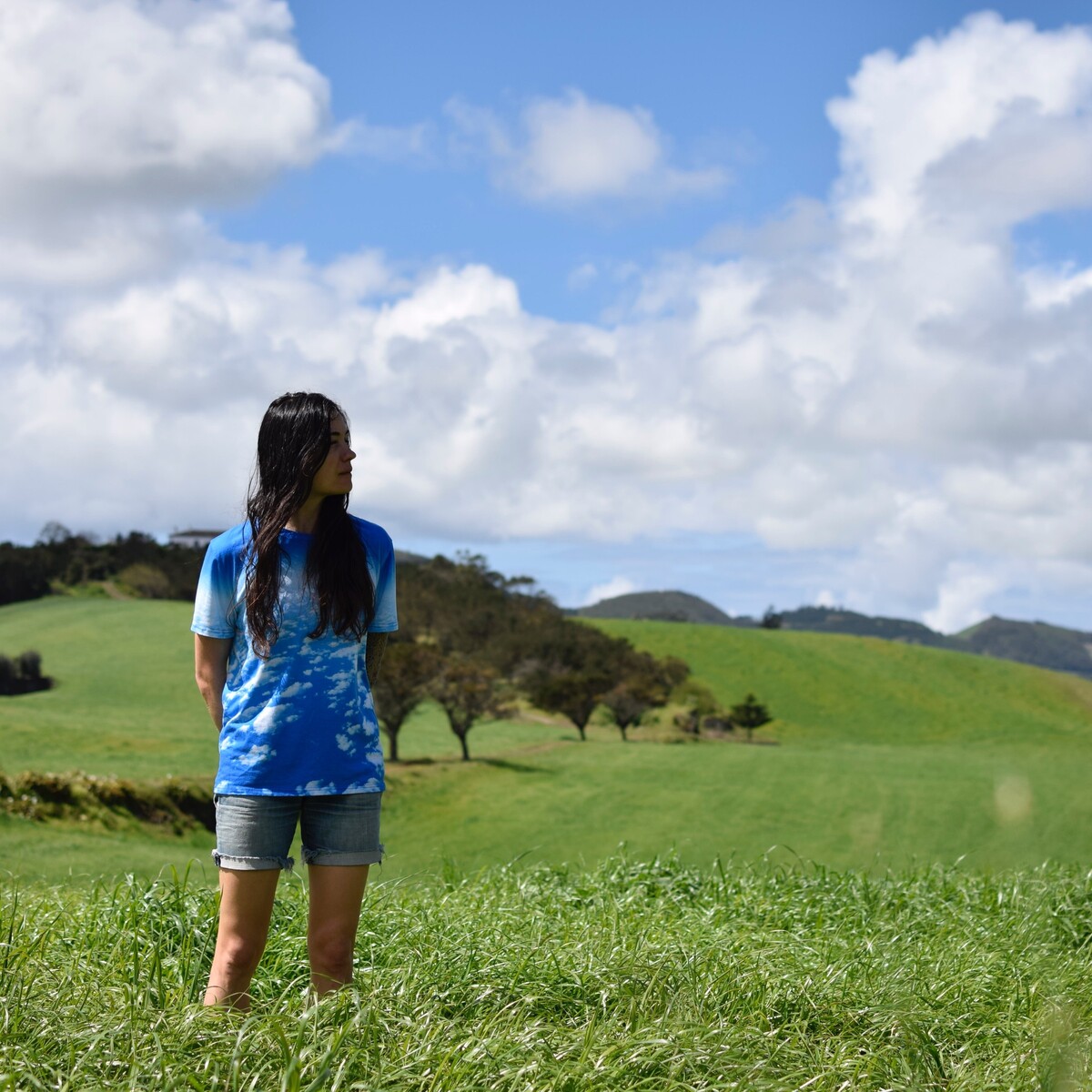 Alien Observer (Live at Emanuel Vigeland Mausoleum) by Grouper (Single ...