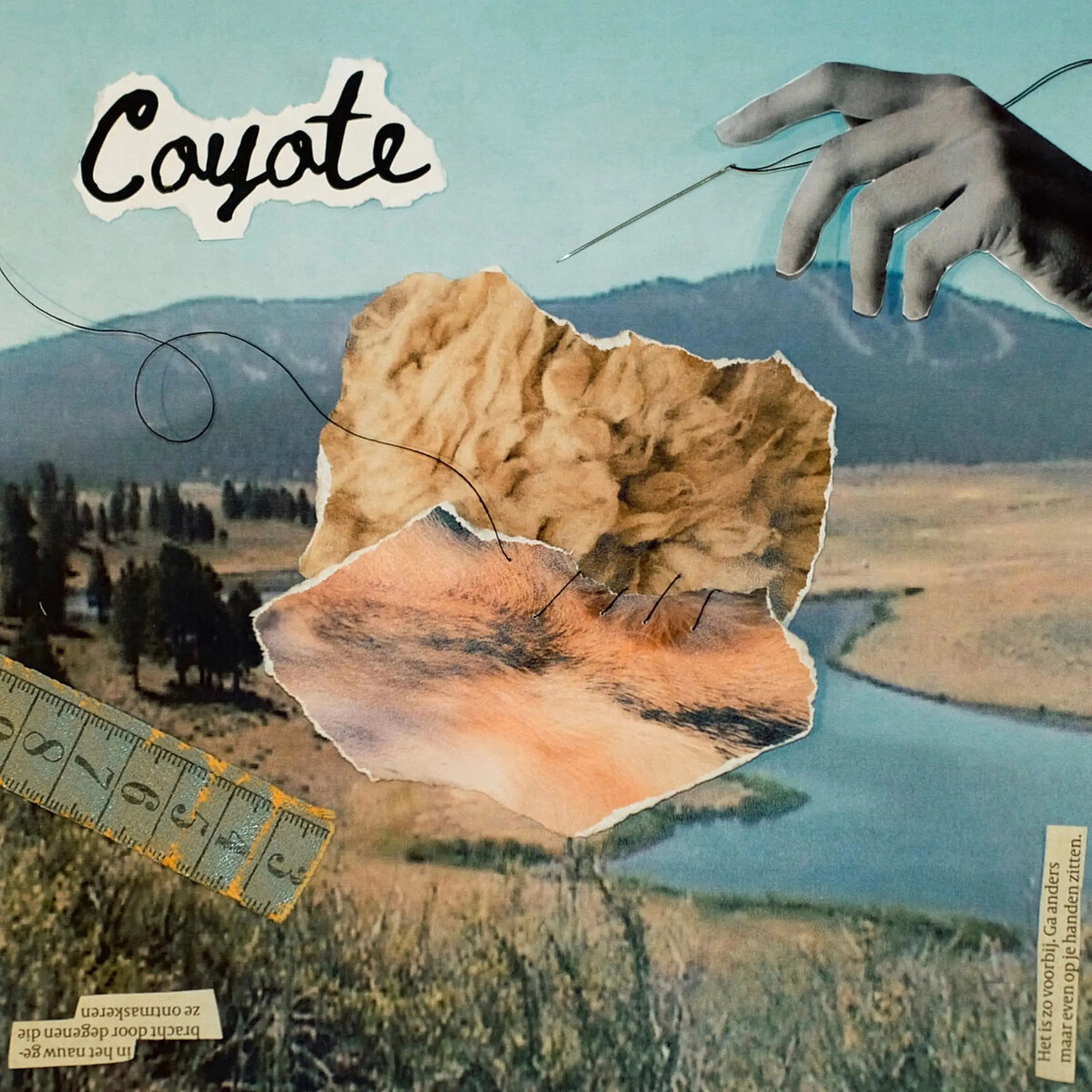 Coyote by FEMI (Single): Reviews, Ratings, Credits, Song list - Rate ...