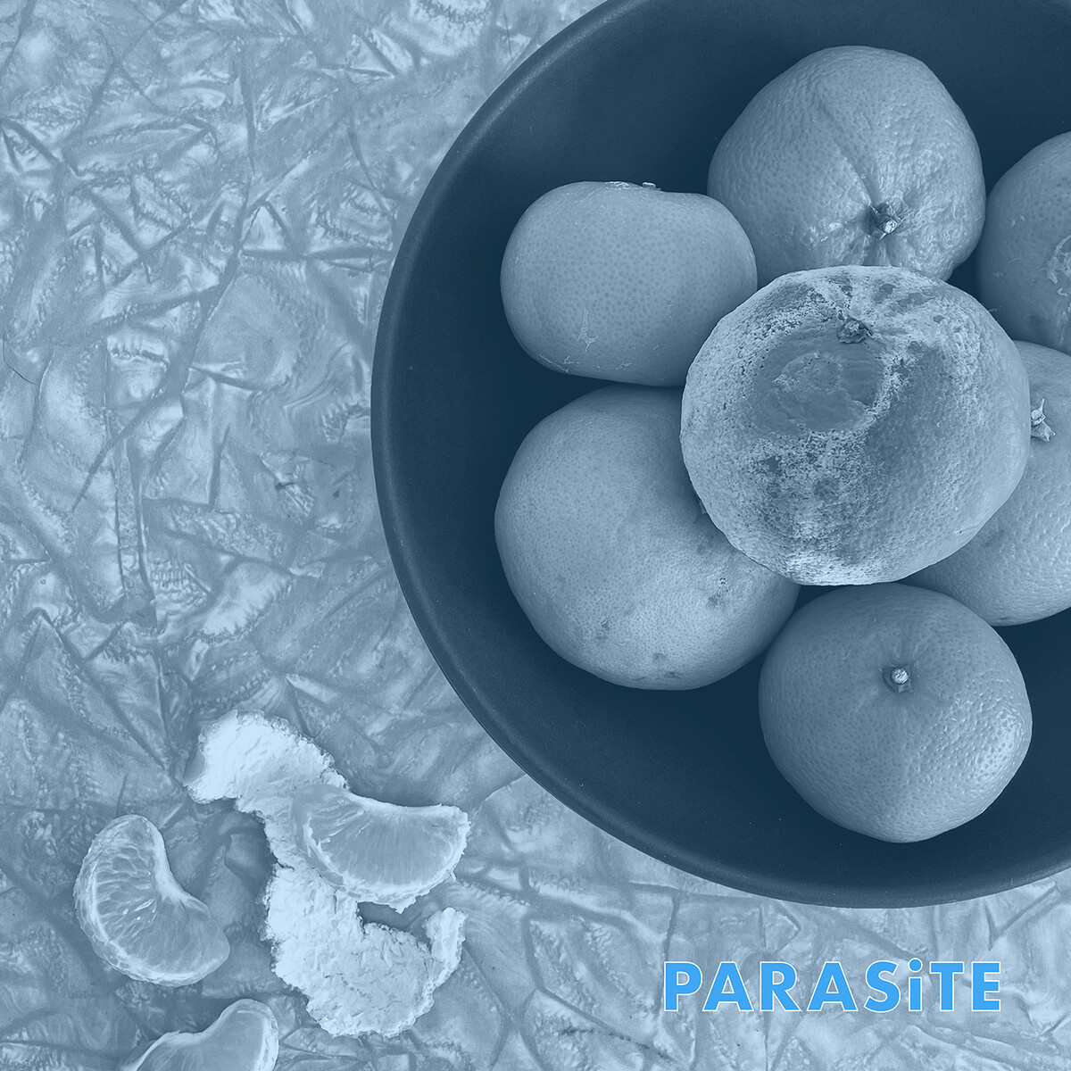 Parasite by Cell Rot (EP): Reviews, Ratings, Credits, Song list - Rate ...