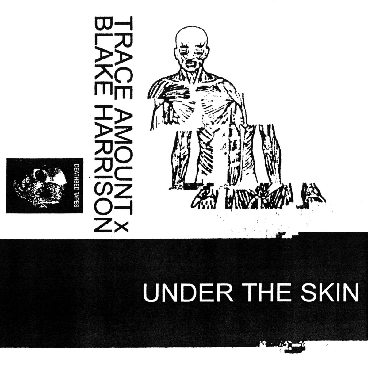Under the Skin by Trace Amount X Blake Harrison (EP): Reviews, Ratings ...