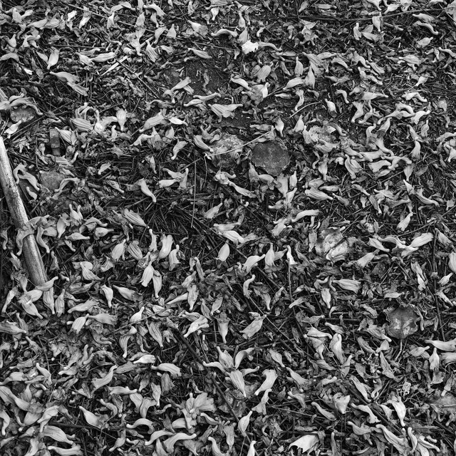 Jealousy by Yayyoung (Single): Reviews, Ratings, Credits, Song list ...