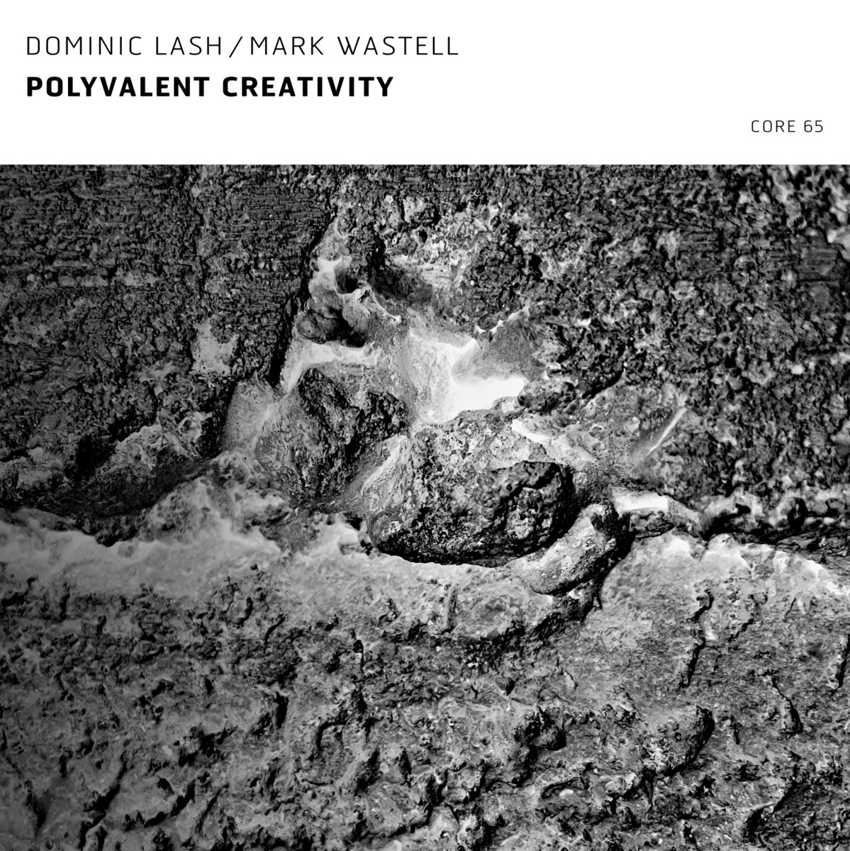 Polyvalent Creativity by Dominic Lash & Mark Wastell (Album): Reviews ...