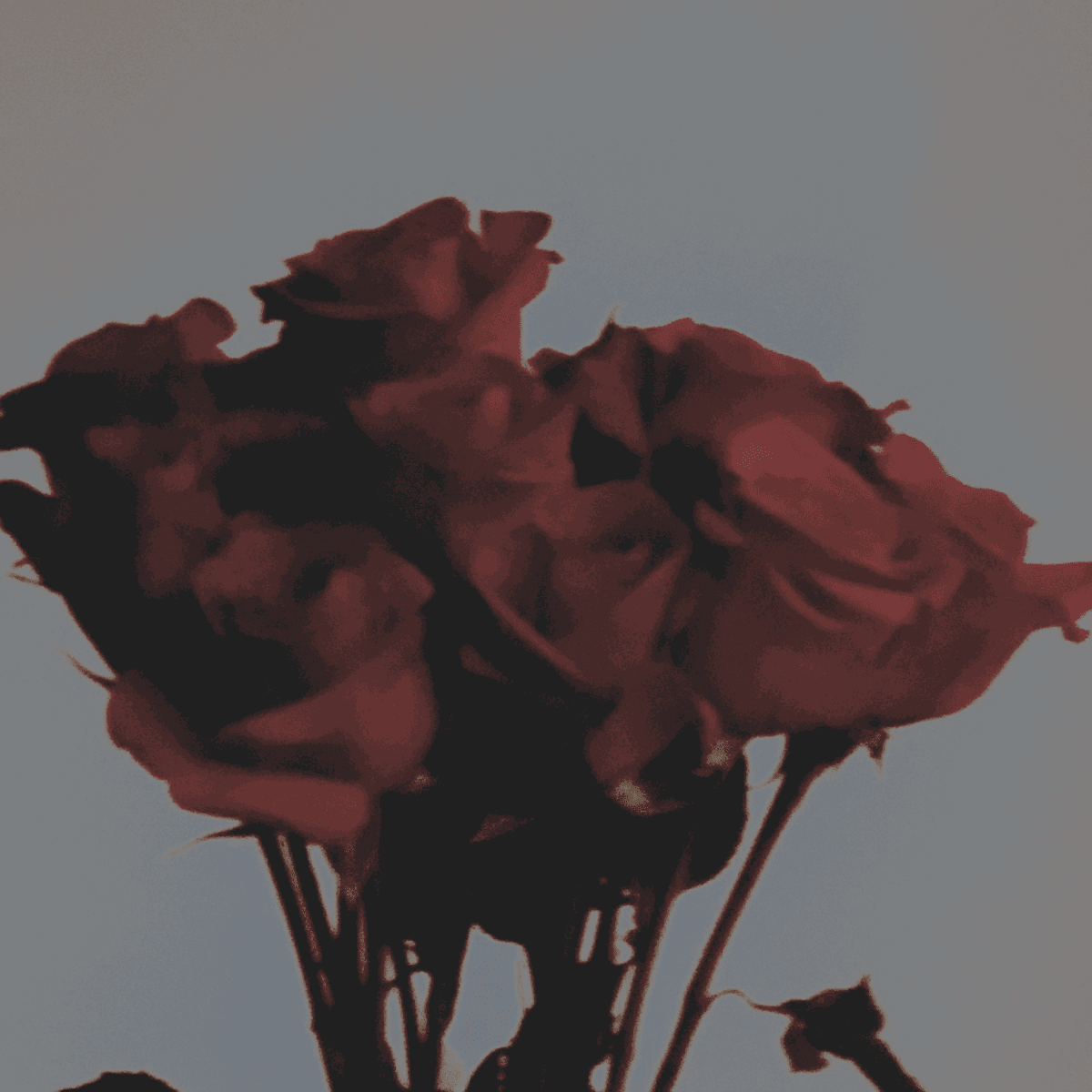 A Glimpse Into the Little World by Dante Davis (Album): Reviews ...