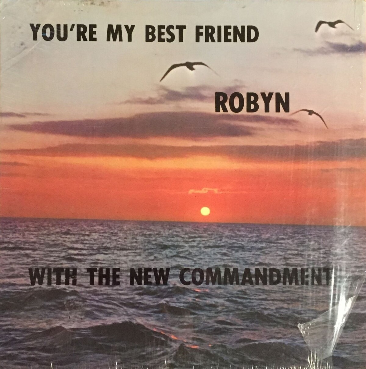 Robyn Pope Albums: songs, discography, biography, and listening guide ...