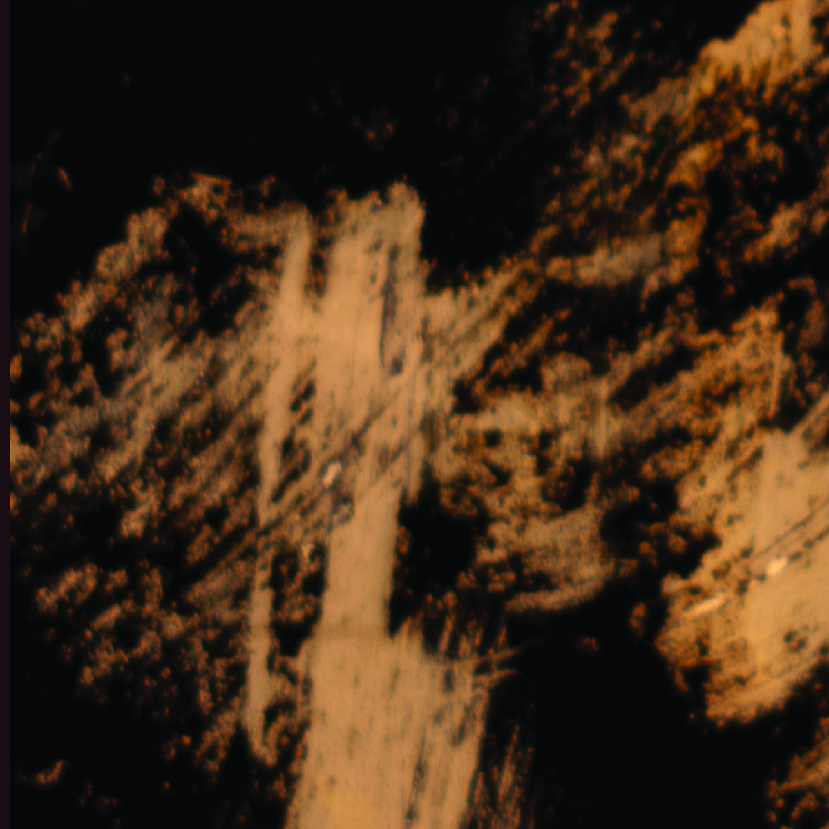 Bladerunner Albums: songs, discography, biography, and listening guide ...