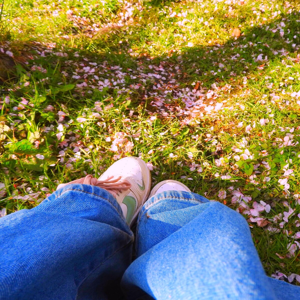 Best Shoegaze albums of 2025 - Rate Your Music