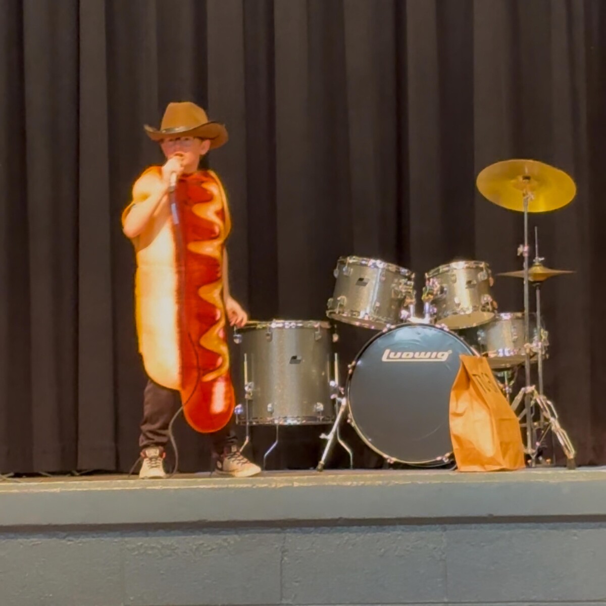 HOTDOGS TO GO! (Parody of "HOT TO GO! by Chappell Roan) by Hot Dog Harv (Single, Musical Parody ...