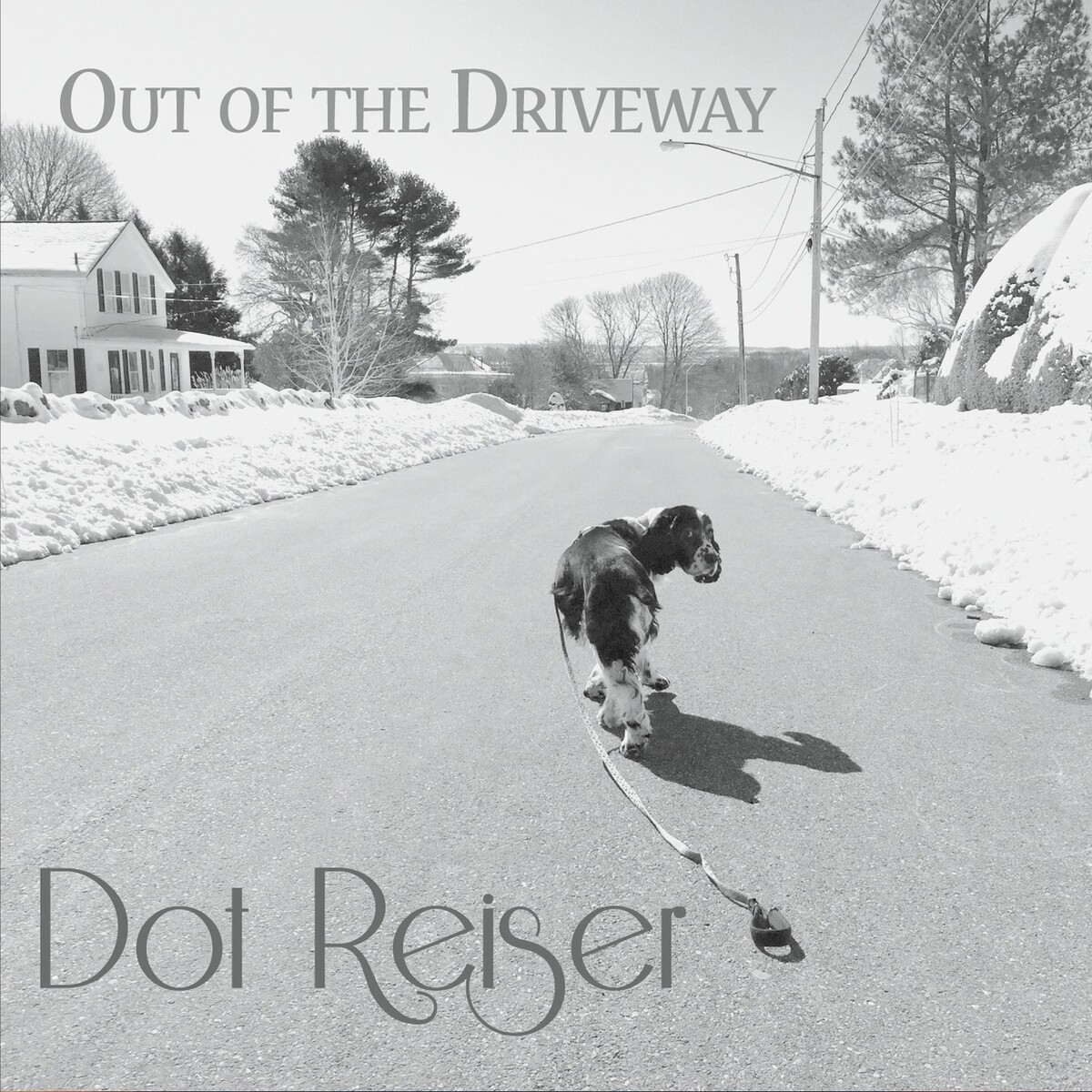 Out of the Driveway by Dot Reiser (Album): Reviews, Ratings, Credits ...