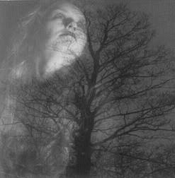 Autumn Tears Albums: songs, discography, biography, and listening guide ...