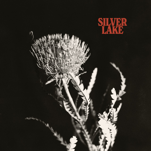 Silver Lake Albums: songs, discography, biography, and listening guide ...