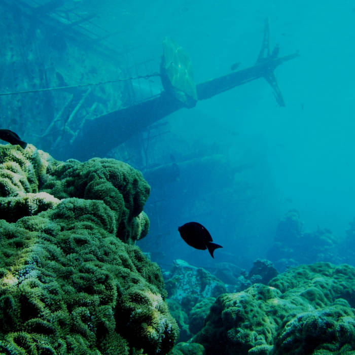 Forgotten Time by 被遗忘的时光 [Forgotten Times] (Album, Vaporwave): Reviews ...