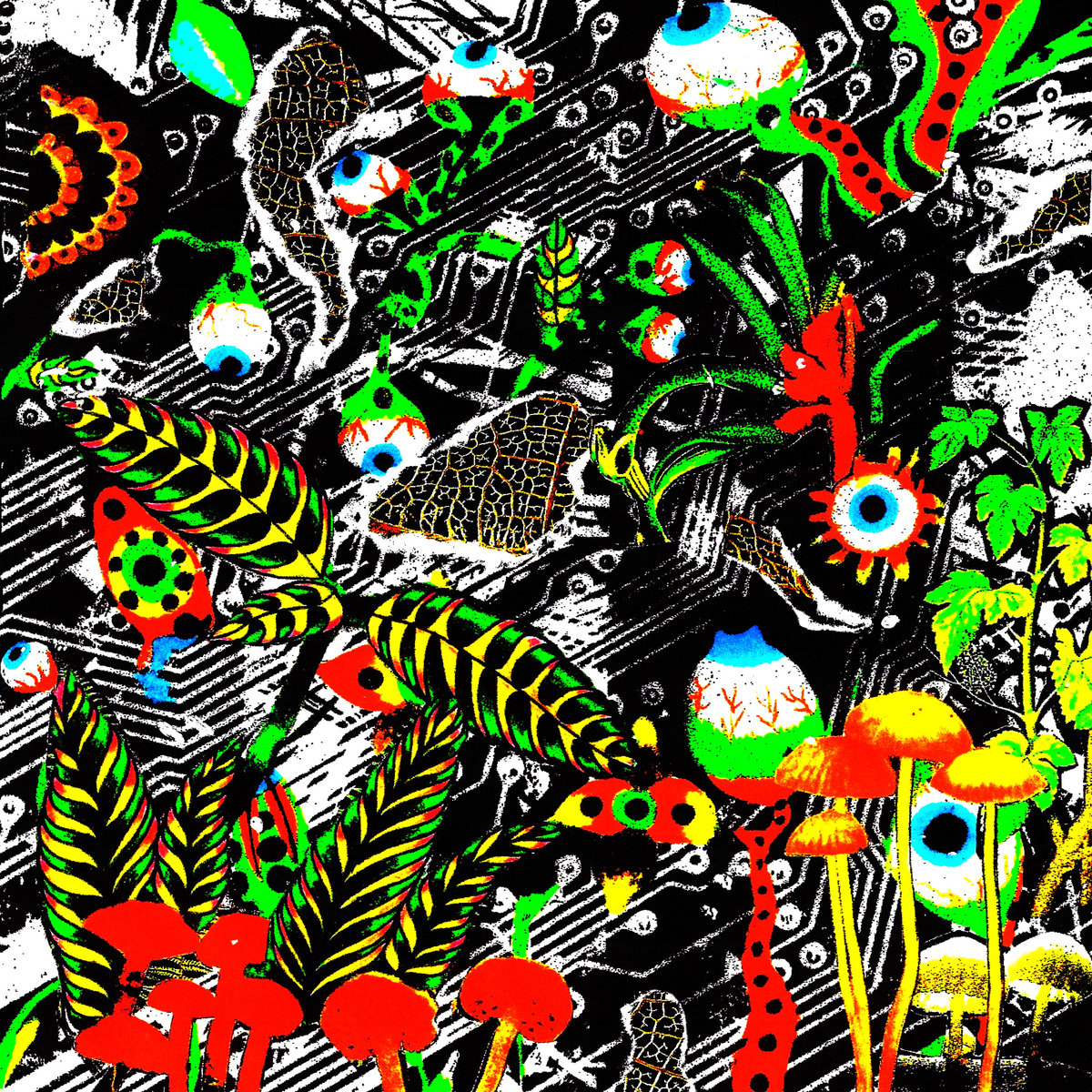 Sore Dream Albums: songs, discography, biography, and listening guide ...