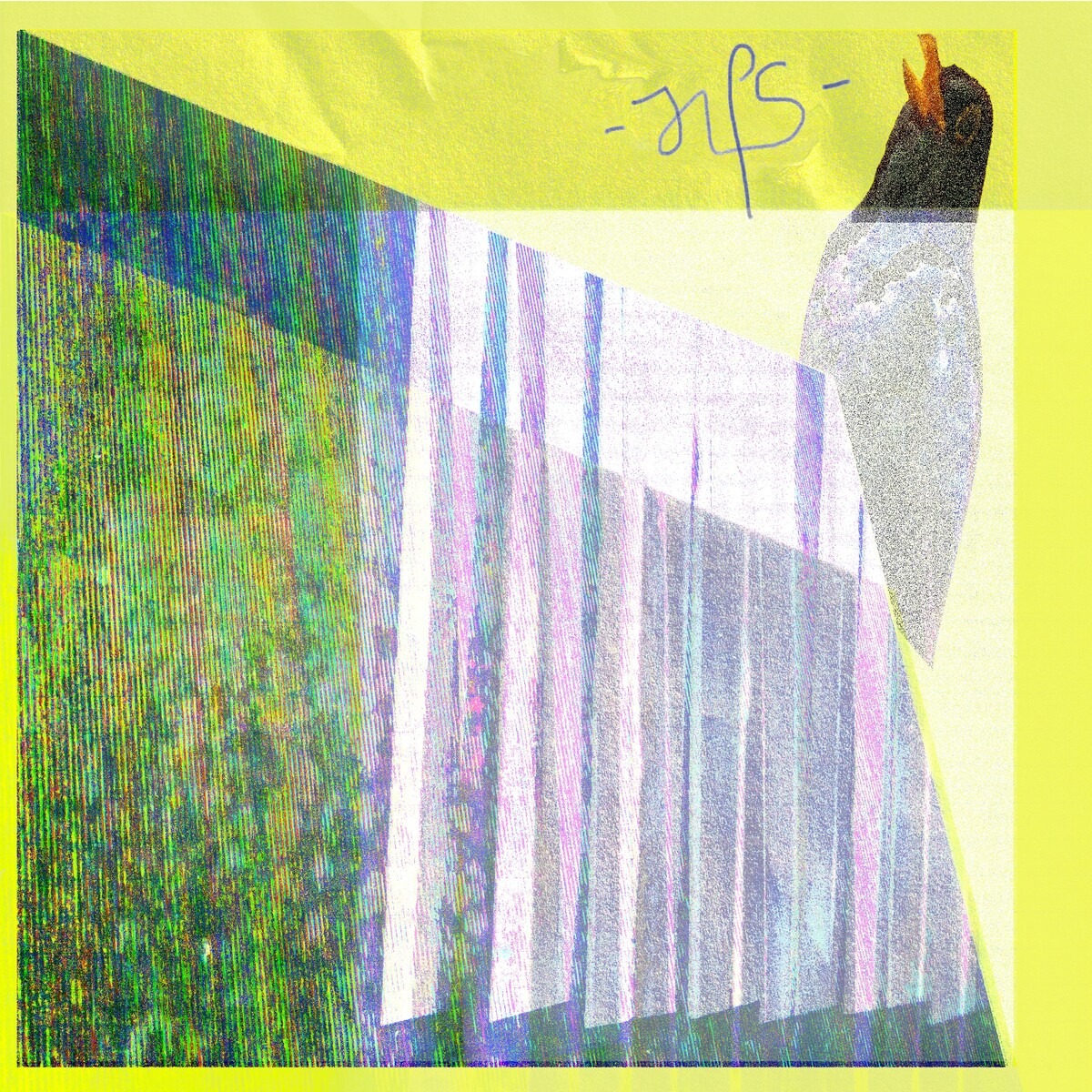 Introwertyk Kosi Trawnik by Jan LF Strach (Album): Reviews, Ratings ...