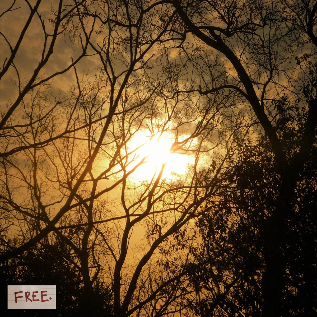 Free by Zabawa (Single, Singer-Songwriter): Reviews, Ratings, Credits ...