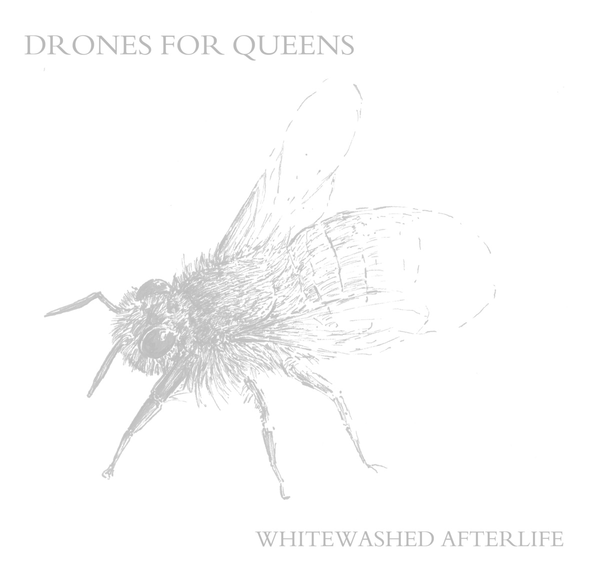 Whitewashed Afterlife by Drones for Queens (EP): Reviews, Ratings, Credits, Song list - Rate ...