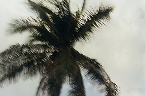 Sussie by PROUX (Single, French House): Reviews, Ratings, Credits, Song ...