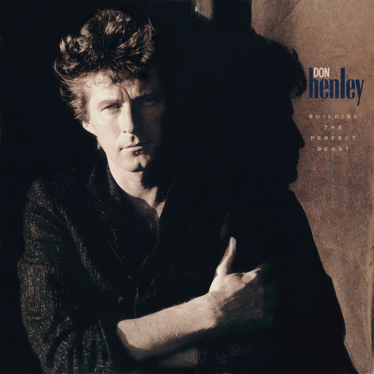 Building the Perfect Beast by Don Henley (Album, Pop Rock): Reviews ...