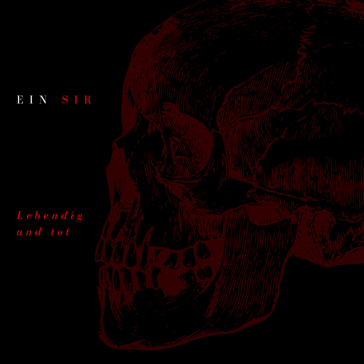 Lebendig und tot by Ein Sir (Album, EBM): Reviews, Ratings, Credits ...