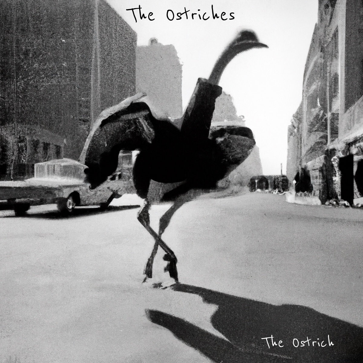 The Ostrich by The Ostriches (Single): Reviews, Ratings, Credits, Song ...
