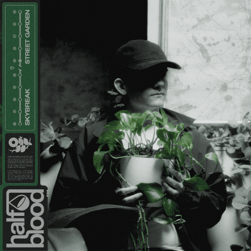 Street Garden by Skybreak (Single, Future Garage): Reviews, Ratings ...