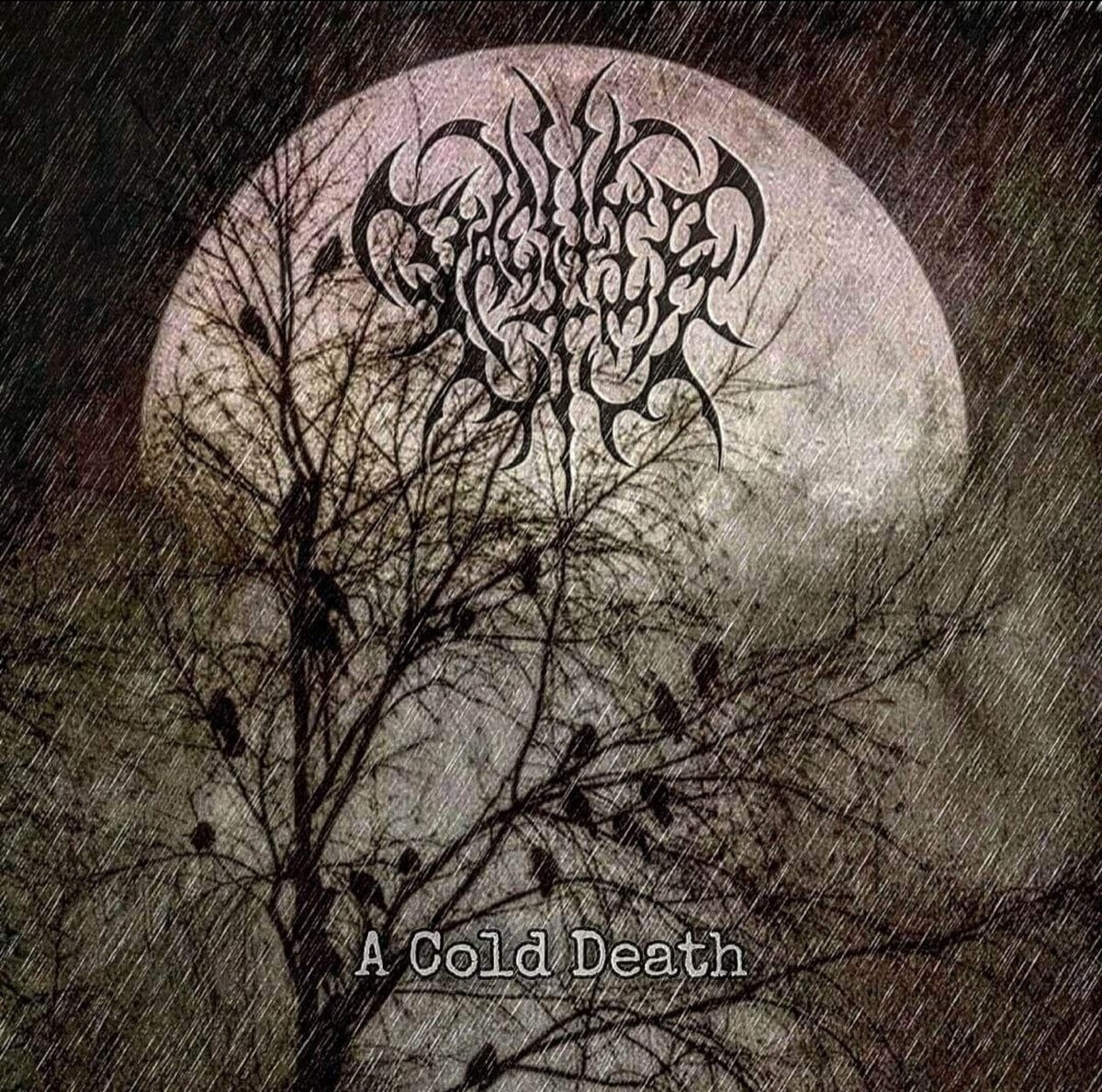 A Cold Death by Vaettir (Single): Reviews, Ratings, Credits, Song list ...