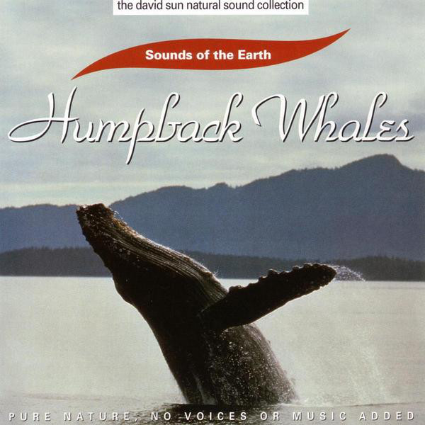 Most popular Whale Song albums of 1997 - Rate Your Music