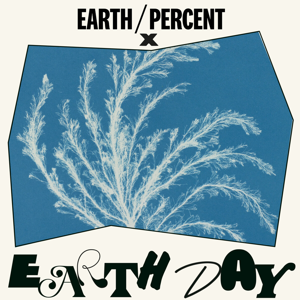 Barbry Allen (Matthew Shaw Remix) by Broadside Hacks (Single): Reviews ...