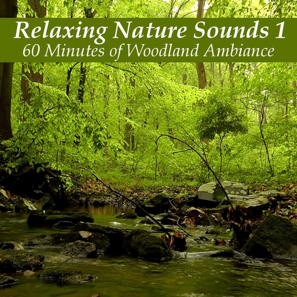 Relaxing Nature Sounds - 60 Minutes Woodland Ambiance by Ephemeral Rift ...