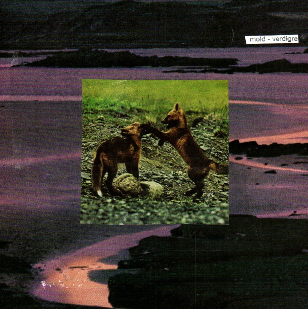 Mold Albums: songs, discography, biography, and listening guide - Rate ...