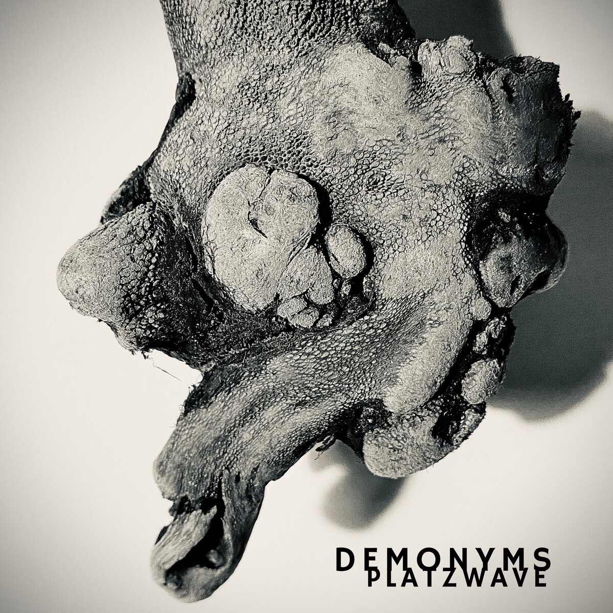 Demonyms by PlatzWave (EP): Reviews, Ratings, Credits, Song list - Rate ...