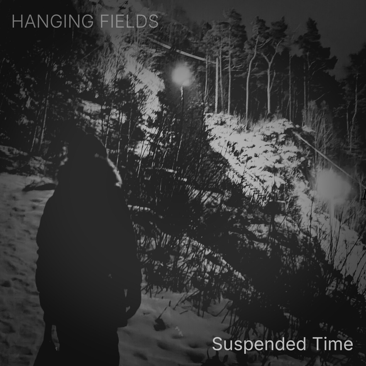 Suspended Time by Hanging Fields (Single, Post-Rock): Reviews, Ratings, Credits, Song list ...