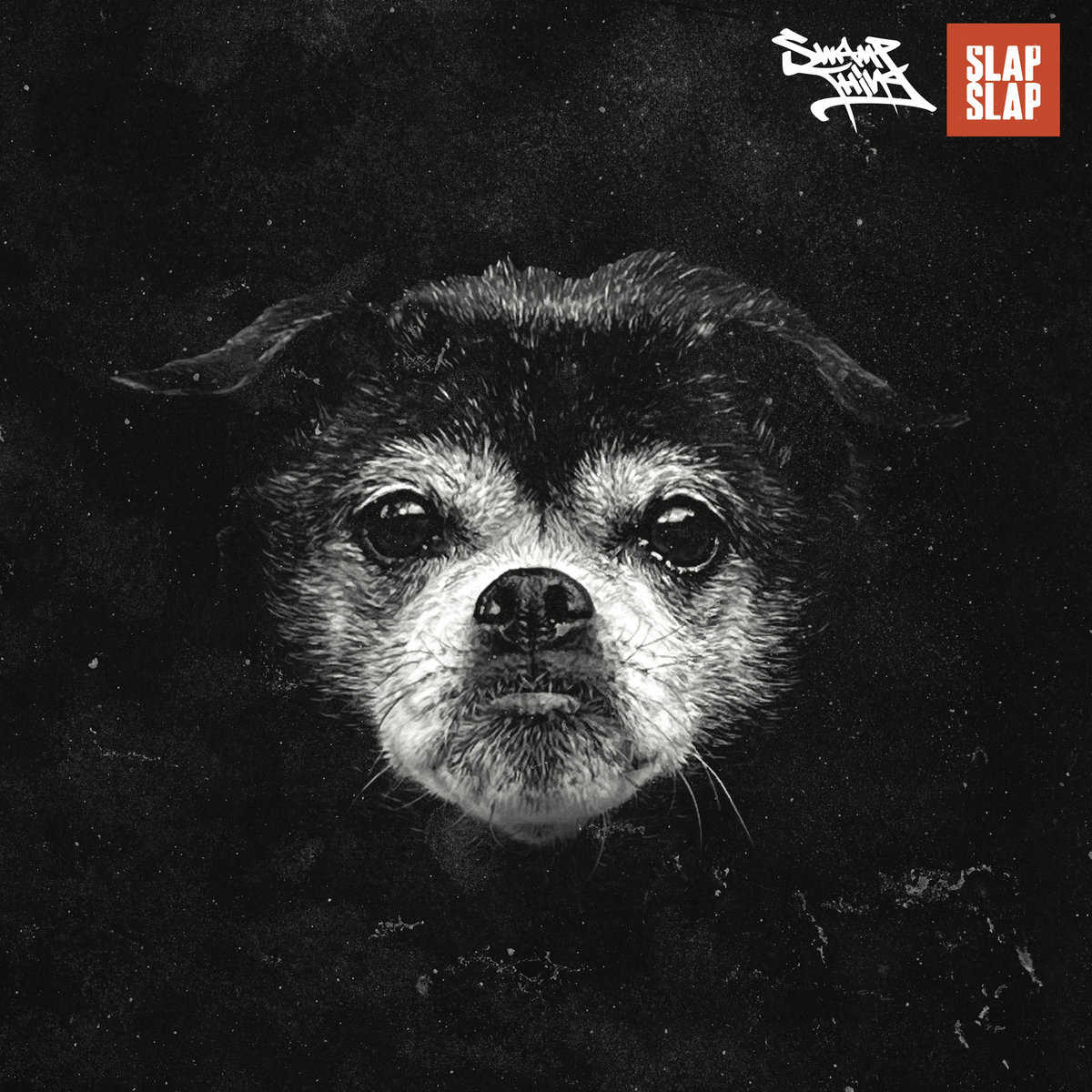 Slap Slap by Swamp Thing (Album): Reviews, Ratings, Credits, Song list ...