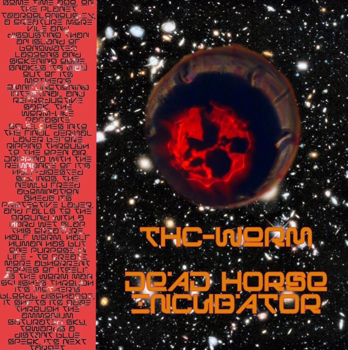 Dead Horse Incubator by THC-Worm (Album, Psychedelic Rock): Reviews ...