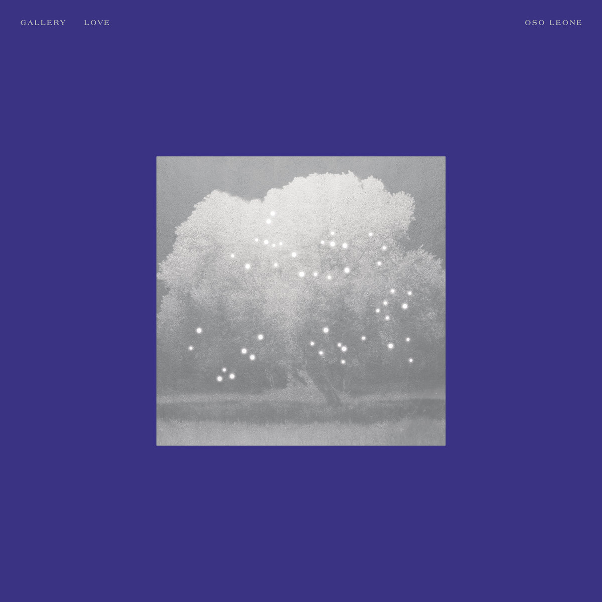 Oso Leone Albums: songs, discography, biography, and listening guide ...